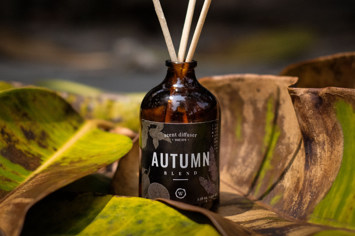 Wax Valley | BKKDW2020