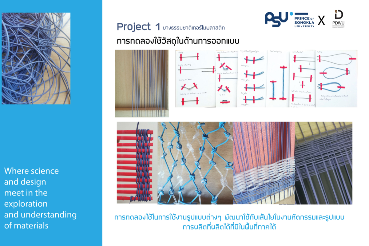 (Psu x Wu ) | BKKDW2020