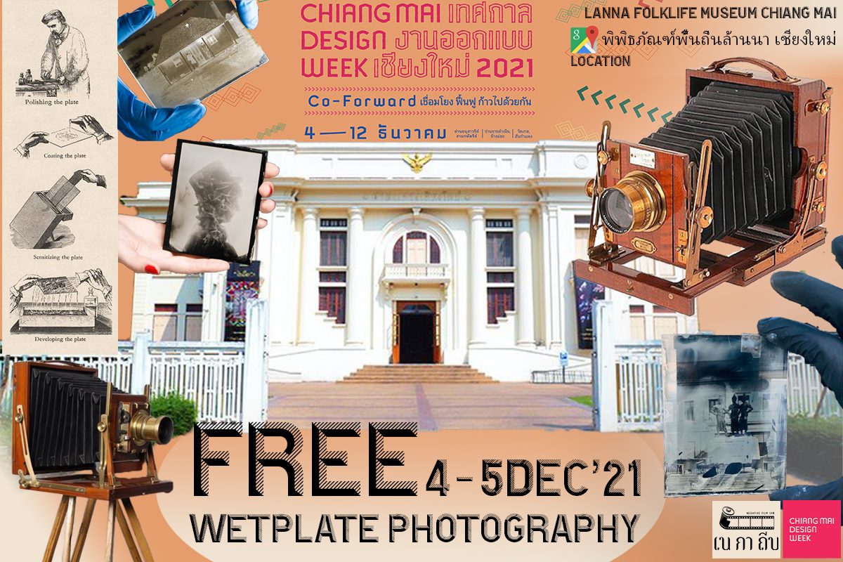 เนกาถีบ | CMDW2021