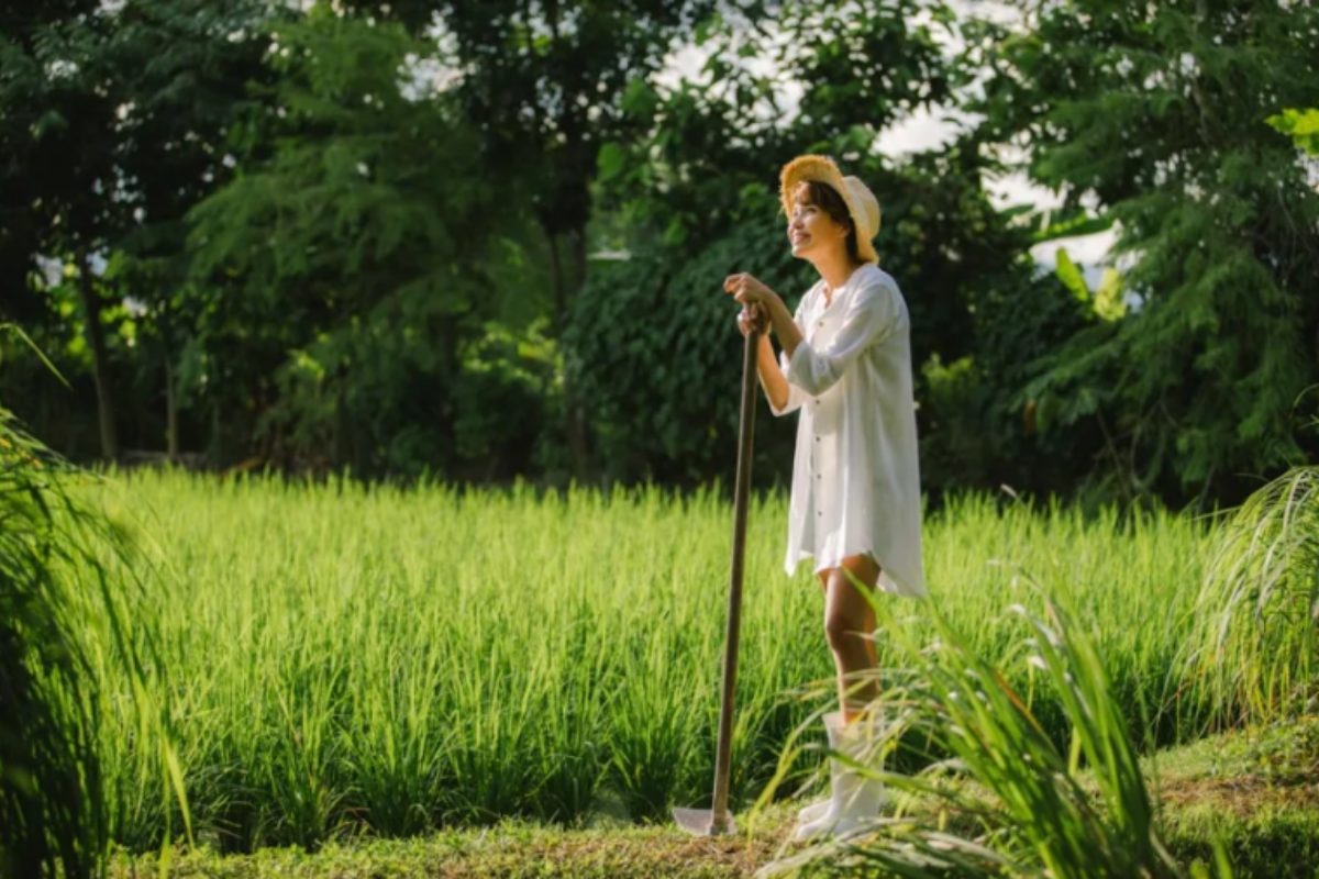 Peace of Mind | CMDW2020