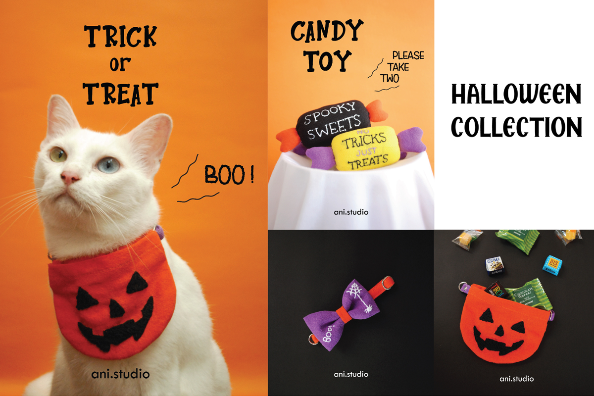 Ani studio | CMDW2023