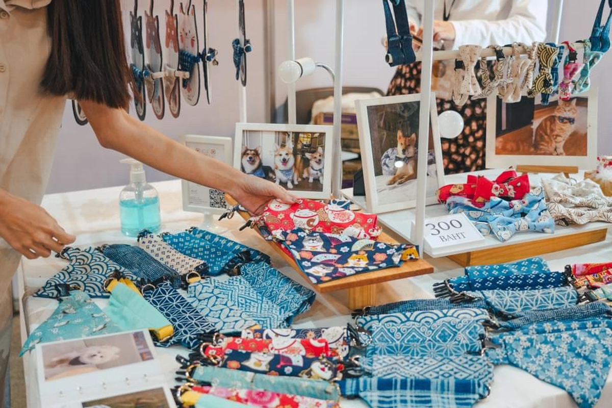 Ani studio | CMDW2023