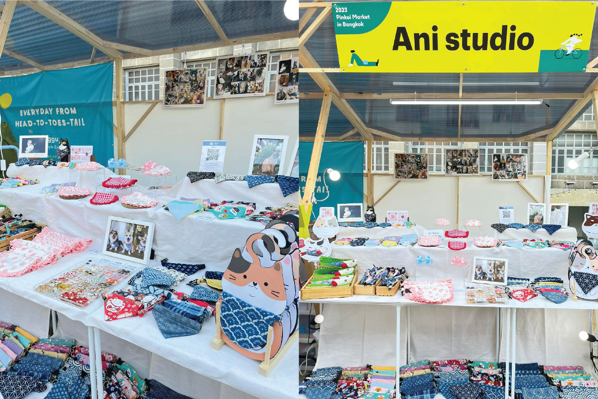 Ani studio | CMDW2023