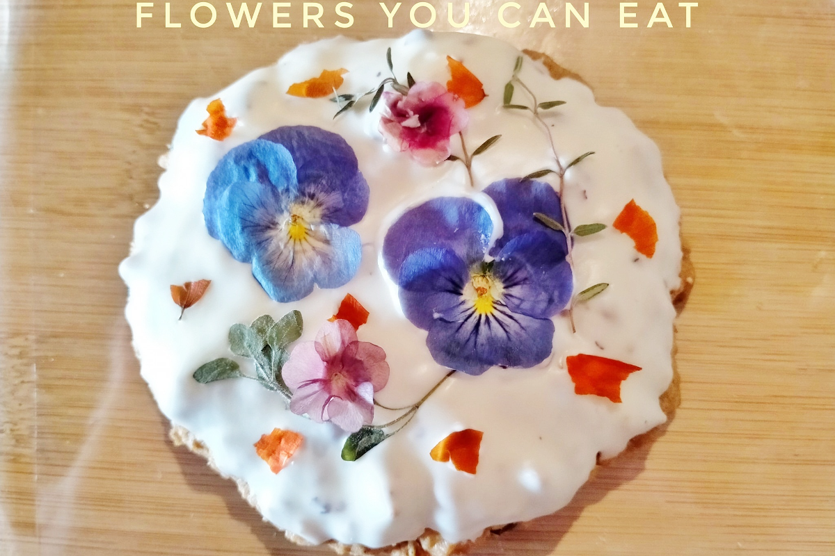 Flowers You Can Eat | CMDW2024