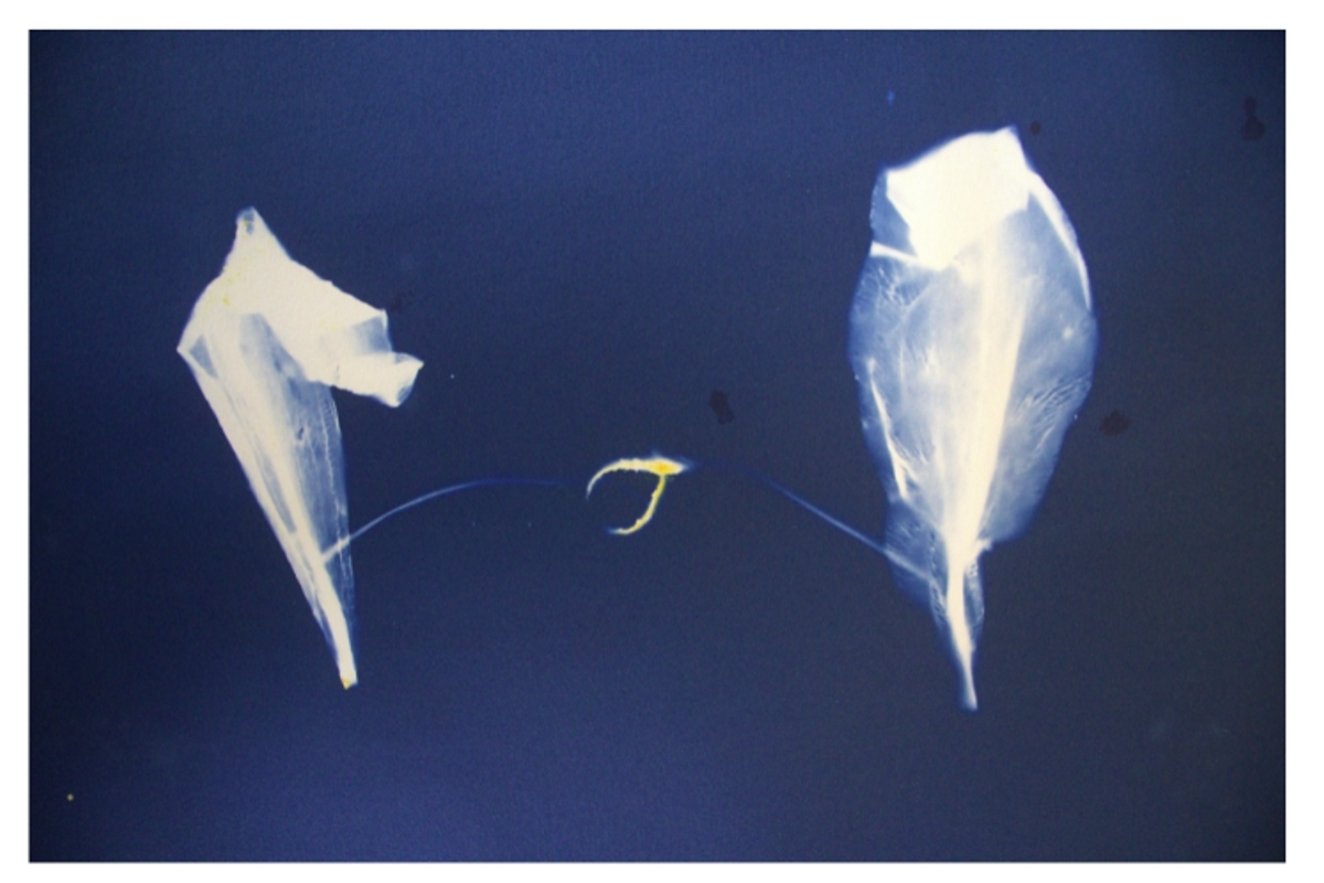 เฮโล่เฮาส์ | CMDW2024