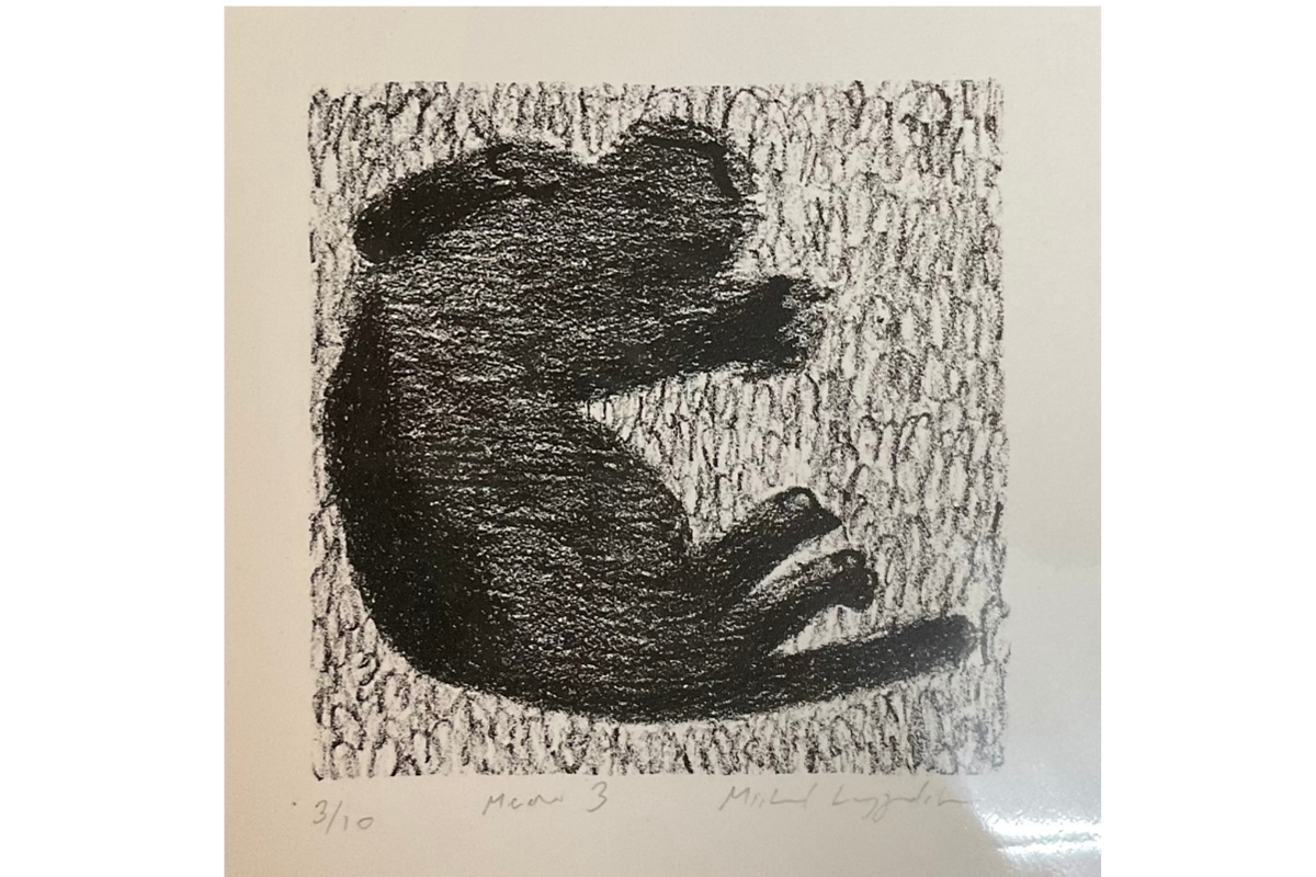 เฮโล่เฮาส์ | CMDW2024