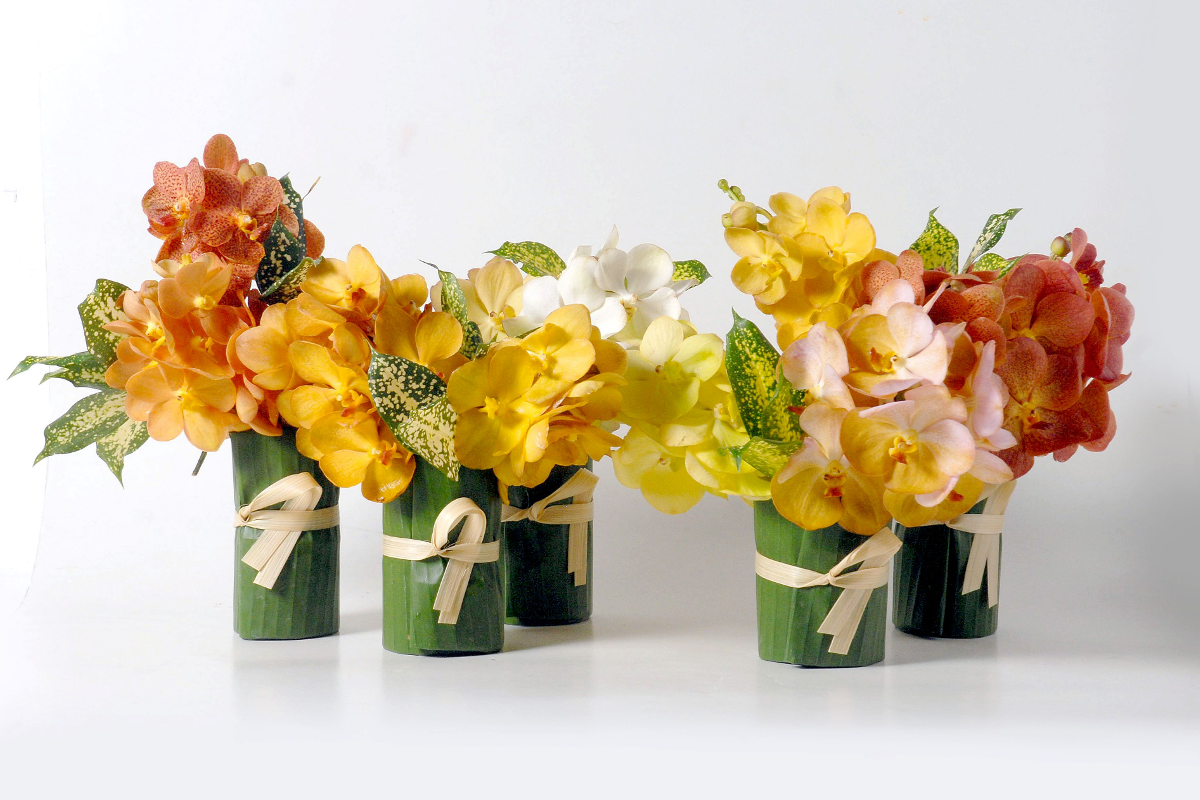 UnDee UnNgarm | CMDW2024